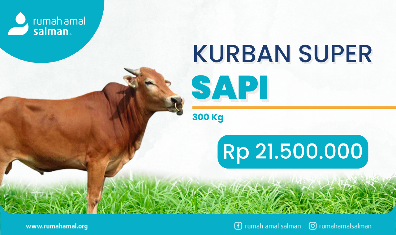 Kurban Sapi Super 1/7 - Rumah Amal Salman