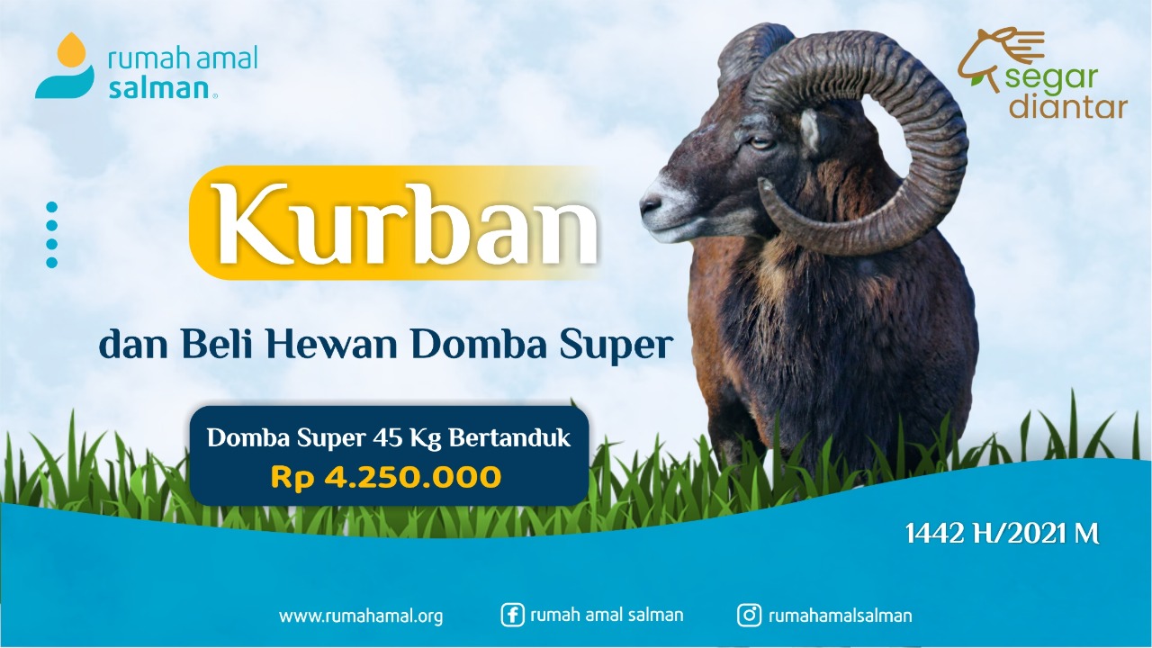 Kurban Domba Super - Rumah Amal Salman