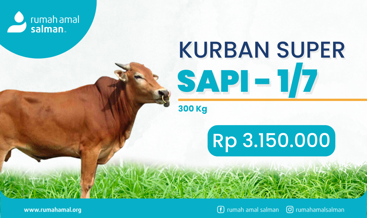 Kurban Sapi Super 1/7 - Rumah Amal Salman